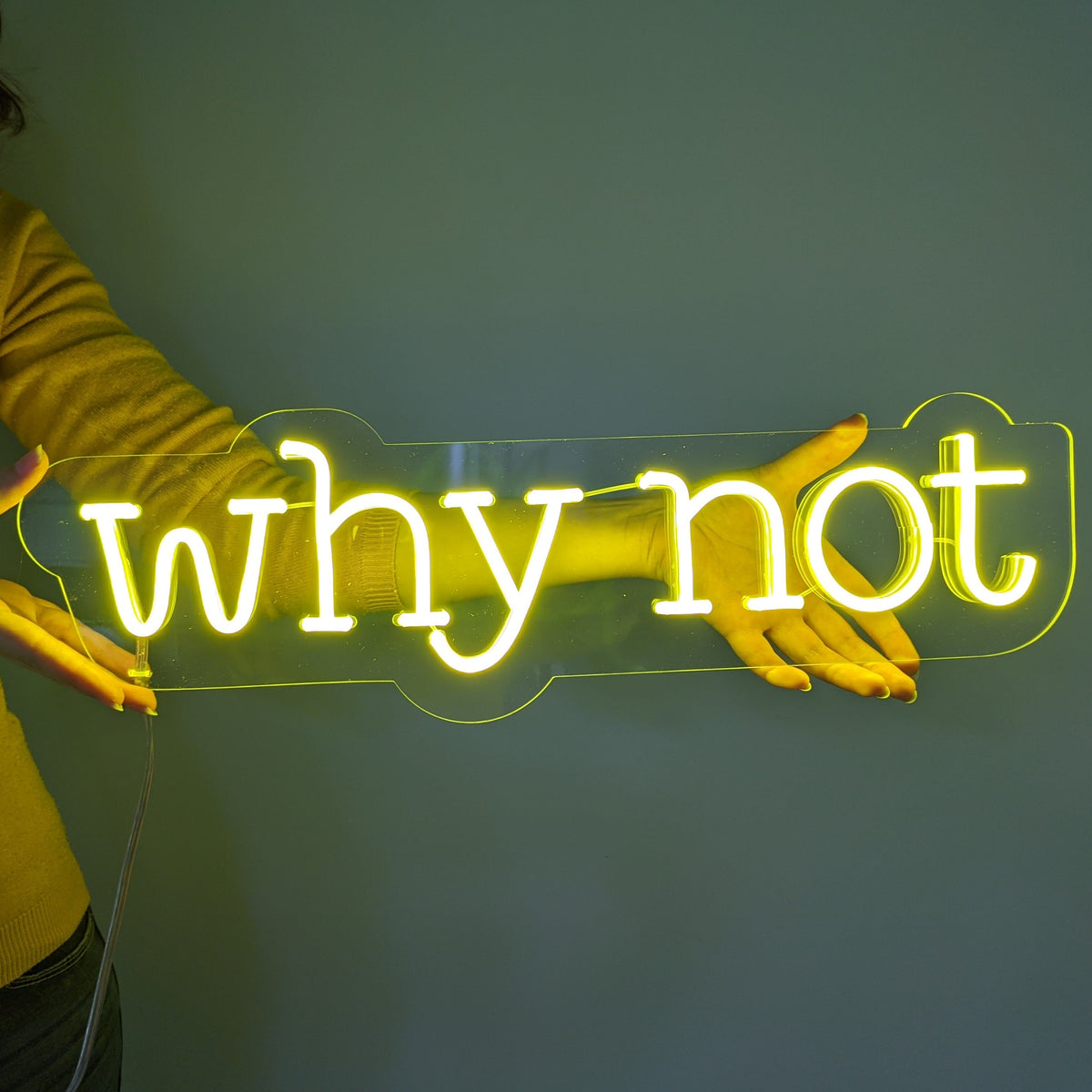 Why Not LED Neon Sign